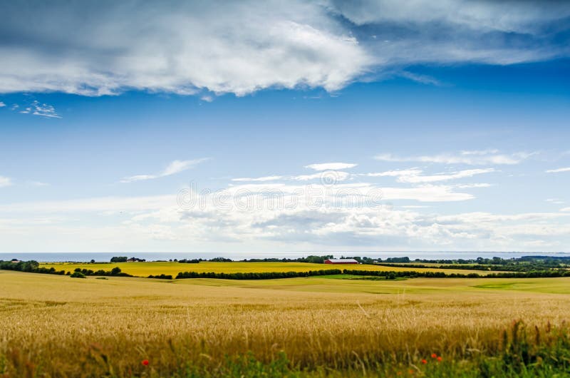 477 Danish Fields Stock Photos - Free & Royalty-Free Stock Photos from ...