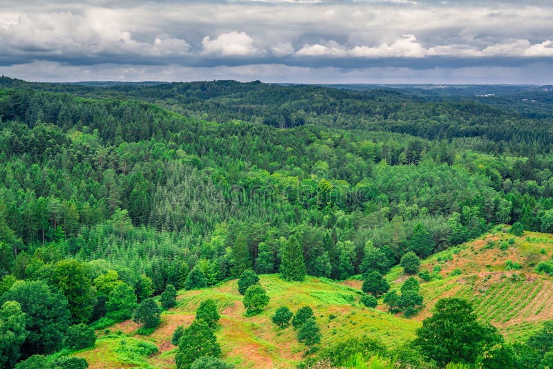 Danish Landscape with Green Trees Stock Photo - Image of dark, rural ...
