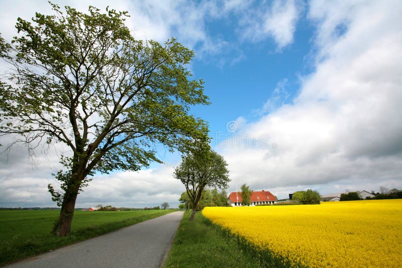 Danish landscape01 stock photo. Image of horizon, tree - 1712498
