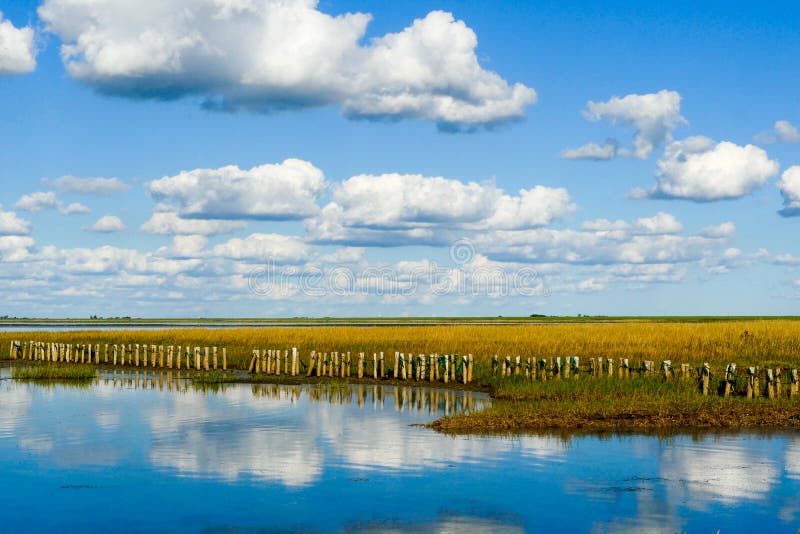 Mando, Jutland / Denmark stock image. Image of beautiful - 160108001