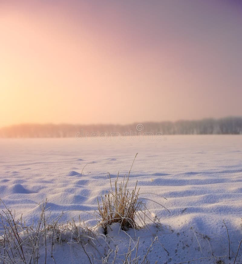 Danish Winter Landscape. a Photo of a Winter Landscape at Sunset. Stock ...