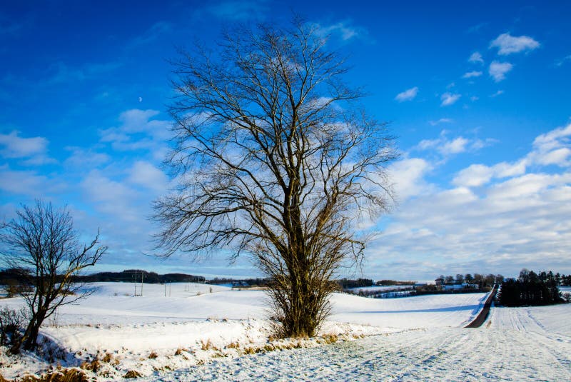 Danish winter still life stock photo. Image of view, covers - 65519590
