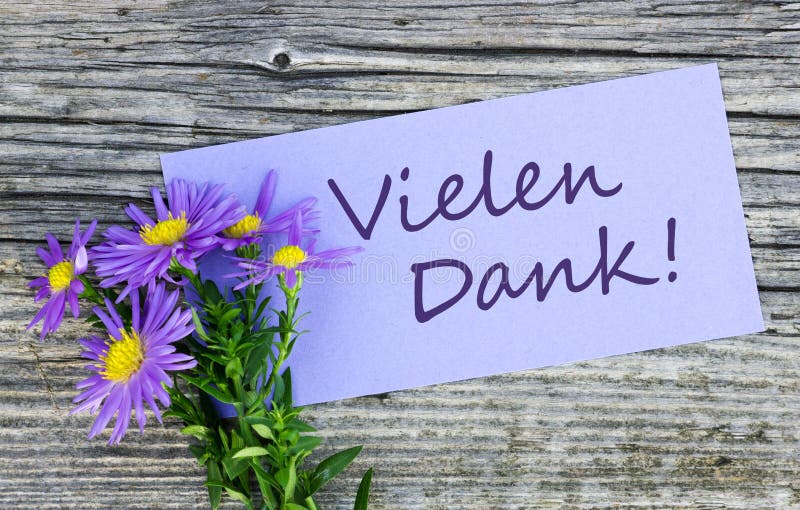 Dank je wel stock afbeelding. Image of dank, duits, viooltje - 35337425