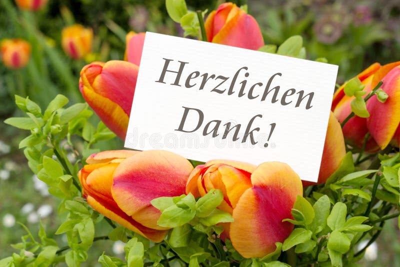 Dank u zeer stock foto. Image of geel, zeer, nave, dank - 84338586