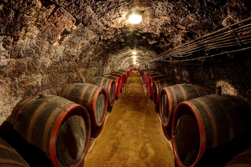 Dans Les Flancs Il Y a Un Cognac Image stock - Image du mémoire, oeil ...