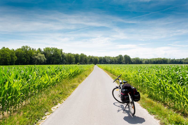 Cycle path stock photo. Image of cycle, painted, path - 14551040