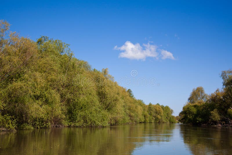 Danube Delta stock photo. Image of romania, water, park - 14591504