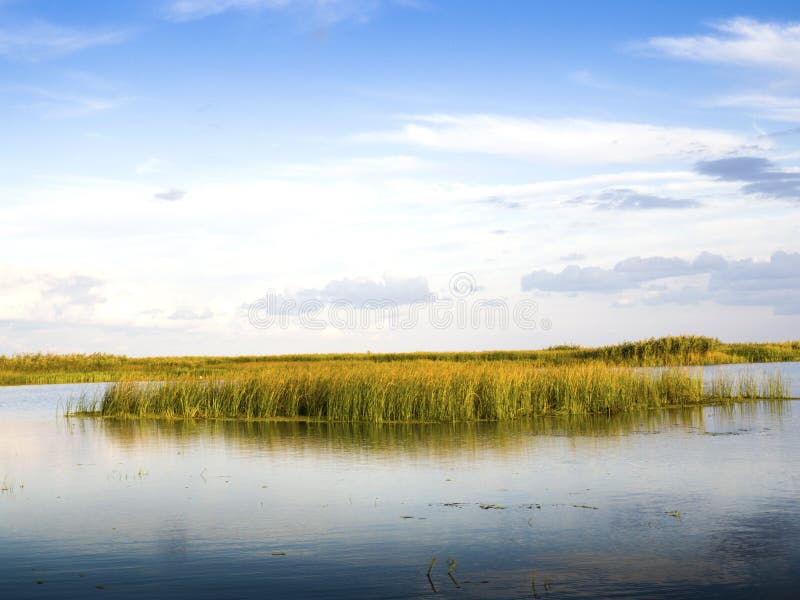 Beautiful Landscape of the Danube Delta, Romania Stock Image - Image of ...