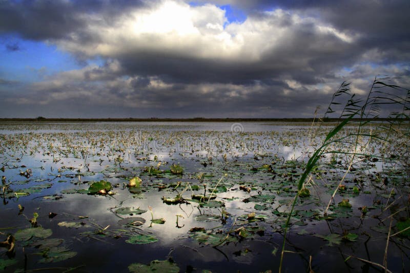 Danube Delta Landscape stock image. Image of vacation - 13018561