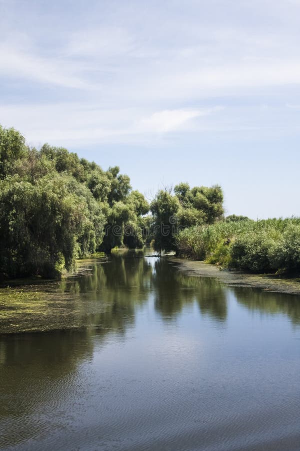Danube Delta landscape stock image. Image of quiet, reflection - 67279943