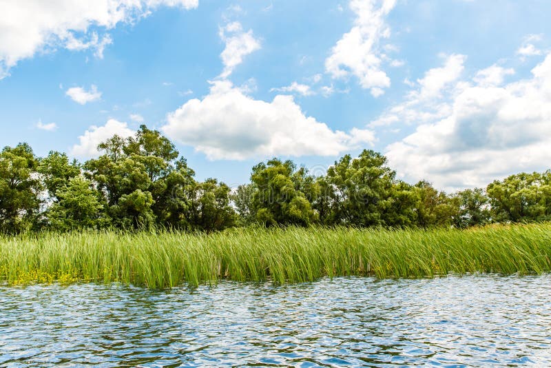 Danube Delta landscape stock photo. Image of lake, outdoor - 79645970