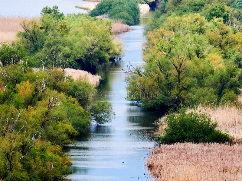 Danube delta landscape stock photo. Image of environment - 94577332