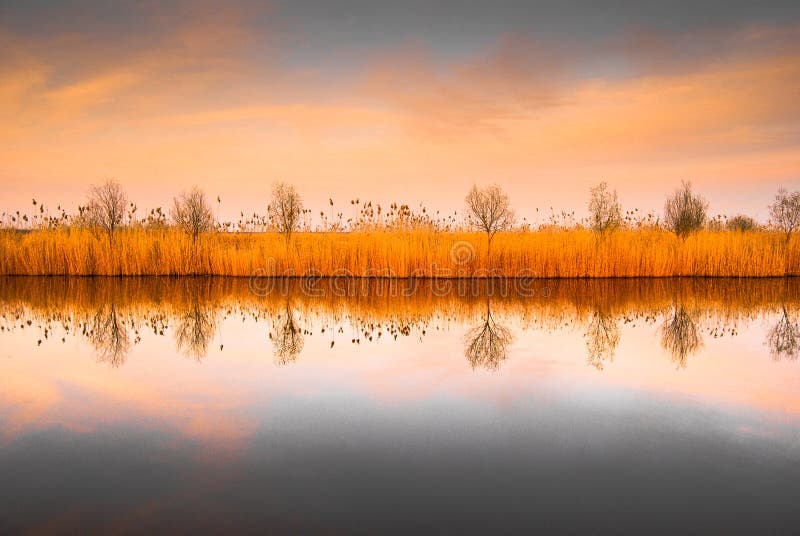 Danube Delta River Landscape Stock Photo - Image of deltadunarii ...