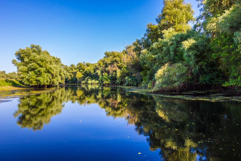 Danube Delta stock image. Image of delta, danube, romania - 34397657