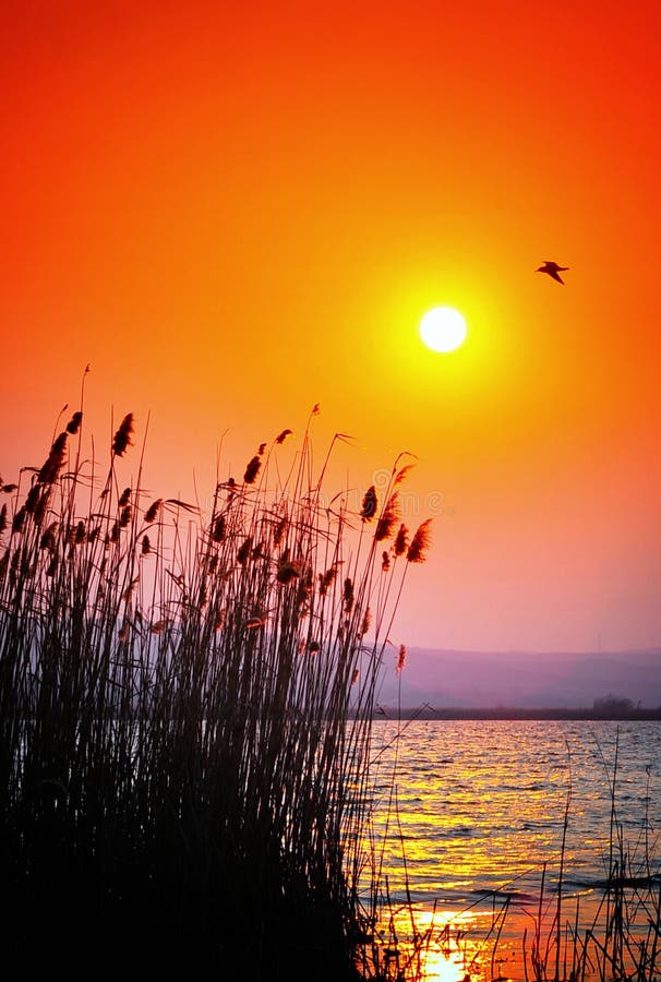 Slanic Moldova stock photo. Image of green, tourism, landscape - 22824358