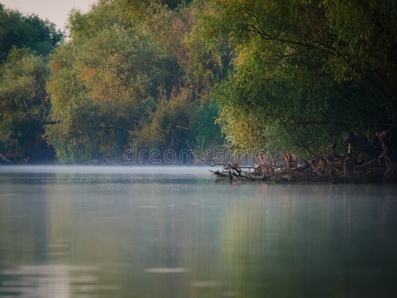 Danube Delta, Tulcea, Romania Stock Photo - Image of ecosistem ...