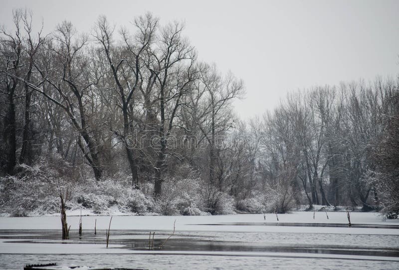 Danube River Delta in Winter Stock Image - Image of cloud, europa ...