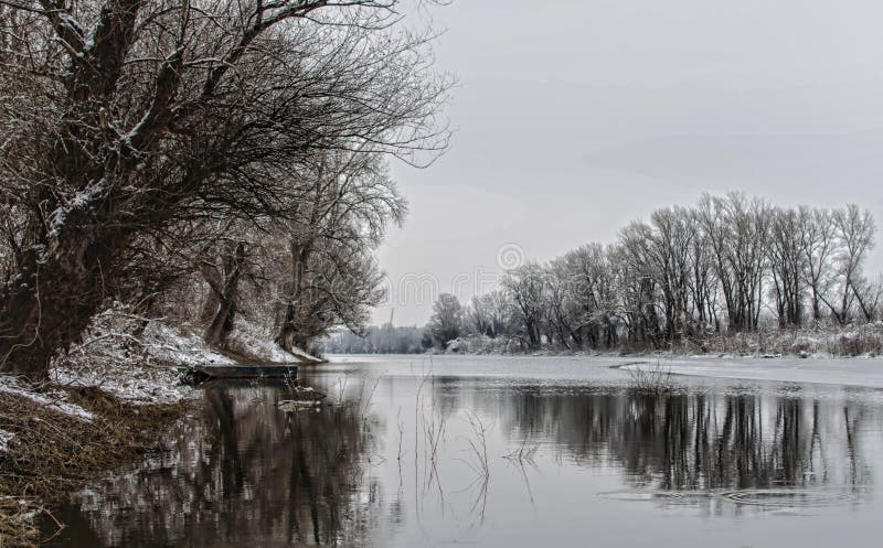 Danube River Delta in Winter Stock Image - Image of cold, rural: 263343497