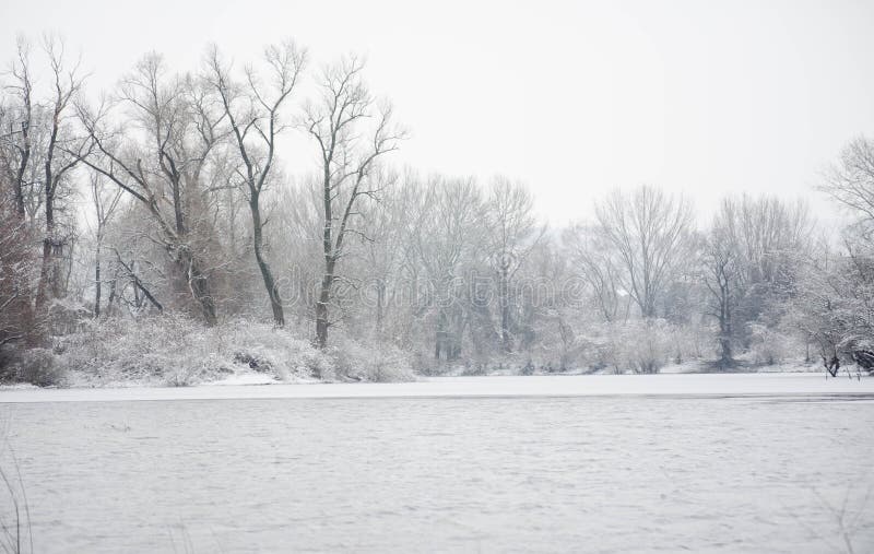 Danube River Delta in Winter Stock Image - Image of electricity ...
