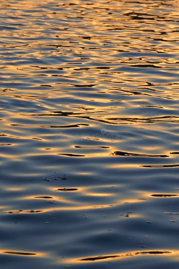 Danube River Waves at Sunset Stock Photo - Image of scenic, surf: 195871684