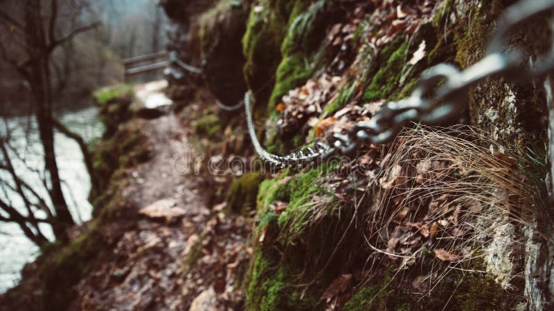 Chain trails in the forest stock photo. Image of chain - 232283586