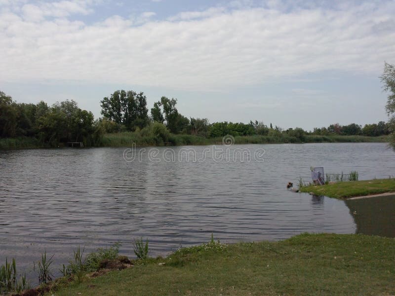 Danube Tisa Tree Nature Stock Photos - Free & Royalty-Free Stock Photos ...