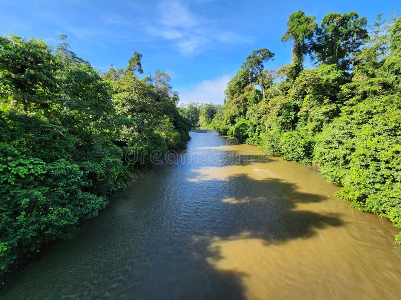 Danum River View Surrounded by Tropical Jungle in Lahad Datu Stock ...