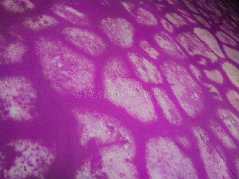 The Dappled Paint on the Dark Purple Walls Stock Image - Image of ...