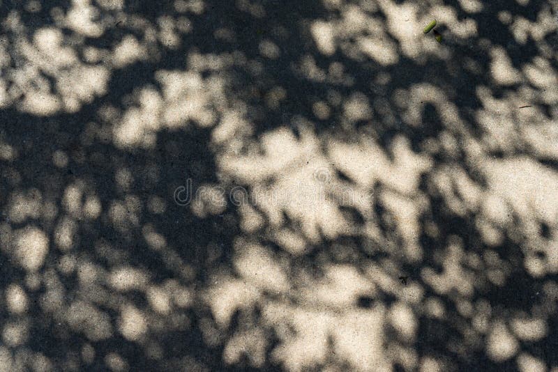 Dappled Sunlight on Concrete, Tree Shadow, Background Stock Photo ...