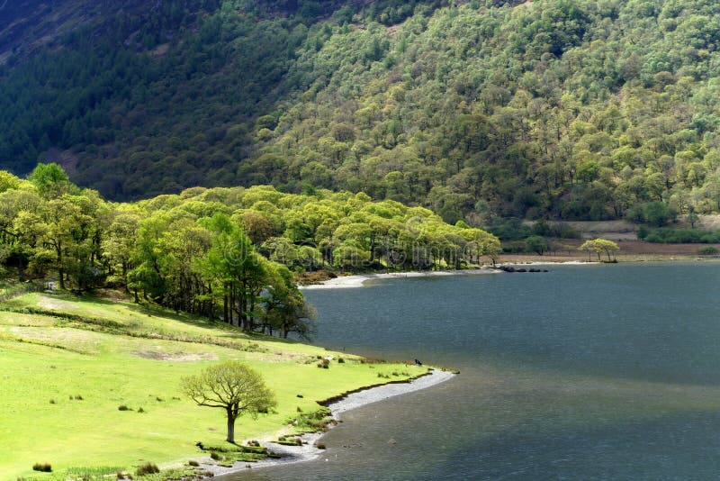 Dappled Sunlight on the Shore of Buttermere Stock Photo - Image of ...