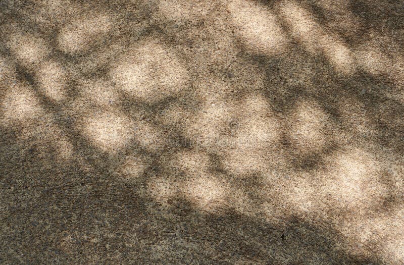Dappled Tree Shadow on Concrete Ground Stock Photo - Image of ...