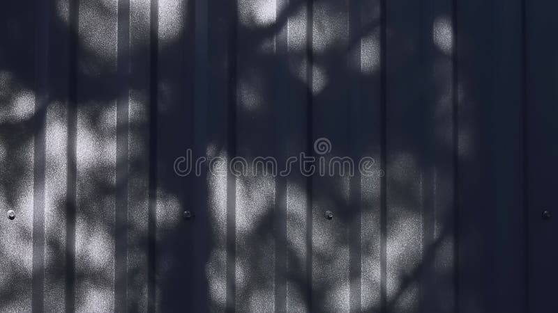 Dappled Tree Shadows on Metal Wall Stock Video - Video of textured ...