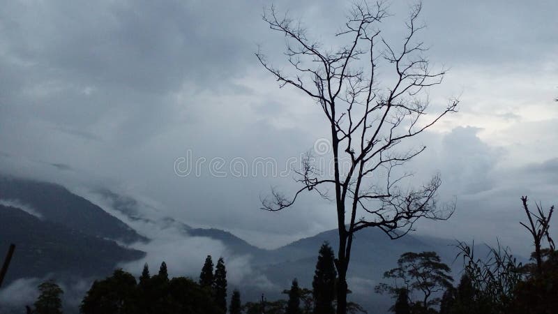 Darjeeling stock photo. Image of forest, view, small - 74115830