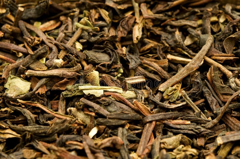 Darjeeling tea stock photo. Image of studio, sinensis - 12670372