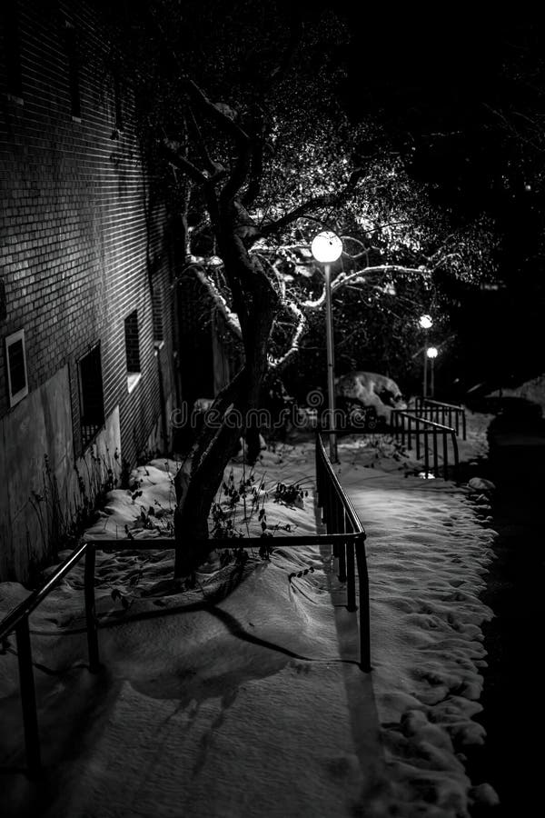 Dark Alley stock image. Image of empty, cold, road, black - 239147331