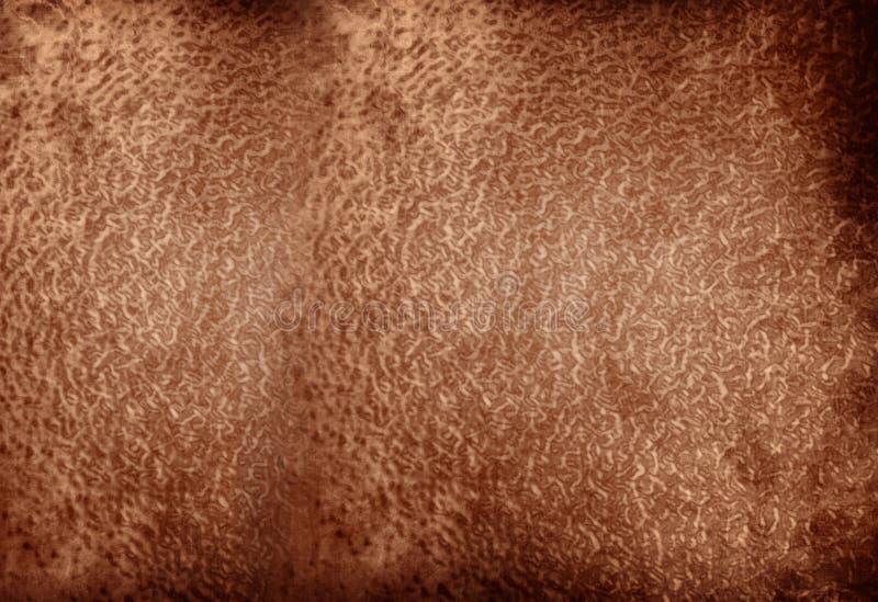 Dark animal skin stock illustration. Illustration of crack - 4815310