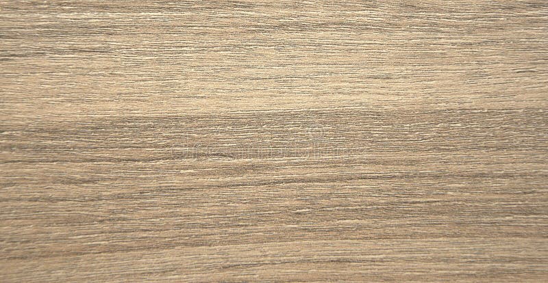 Dark Ash, Natural Drawing Close-up. Background, Texture, Close Up Shot ...