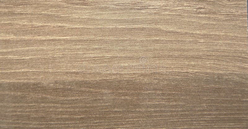 Ash Wood Texture