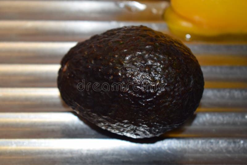 Dark avocado stock photo. Image of plant, snack, ground - 356125542