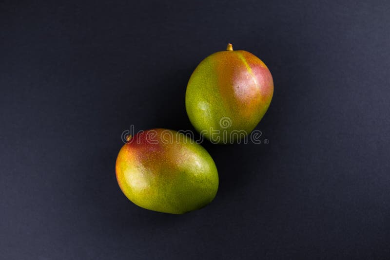 Dark Background with Bright Tropical Mango . Stock Image - Image of ...