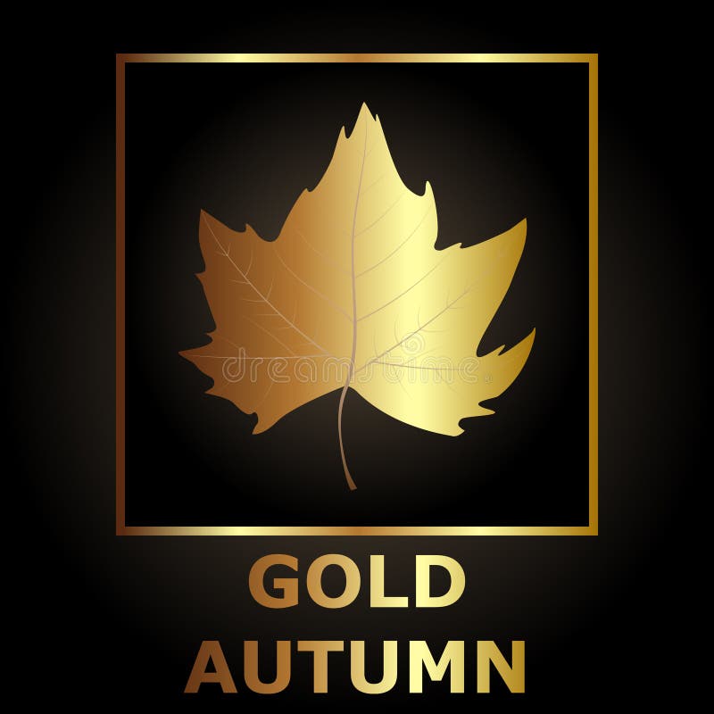 Gold Maple Leaves Falling Border Design with White Background Stock ...