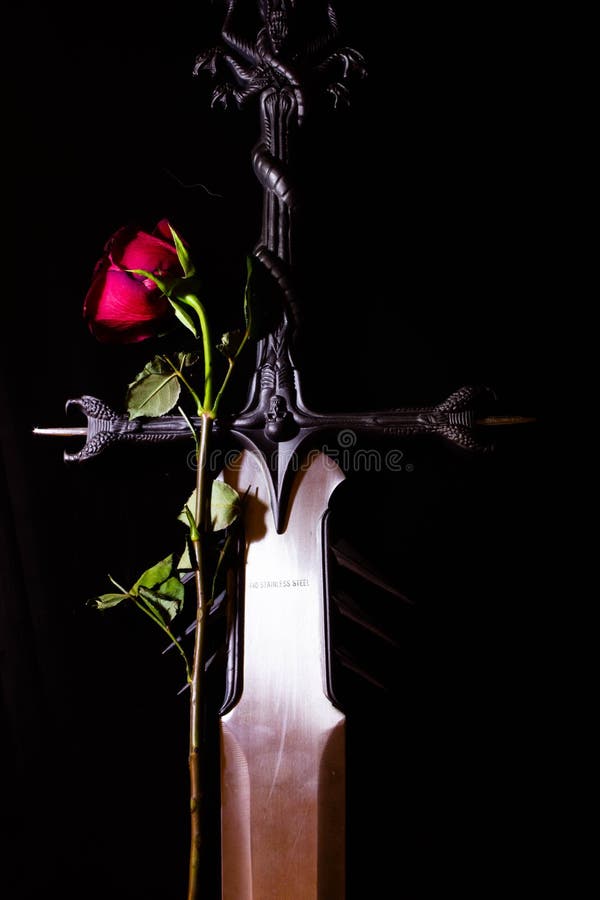 Dark Background with a Red Rose with a Green Stem Resting on a Black ...