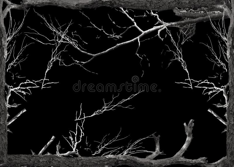 Dark Background with Tree Trunk and Branches Borders Stock Photo ...
