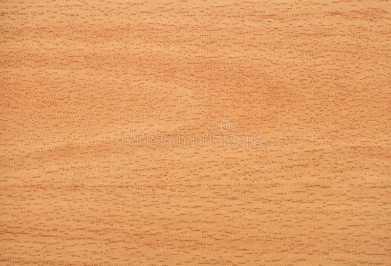 13,245 Beech Wood Grain Stock Photos - Free & Royalty-Free Stock Photos ...