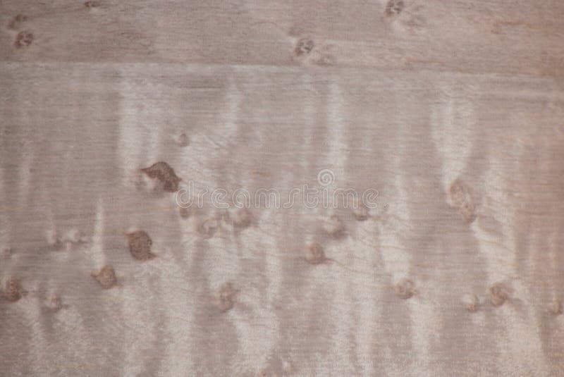 Dark Birch Plywood Natural Pattern with Knots Close-up Stock Photo ...