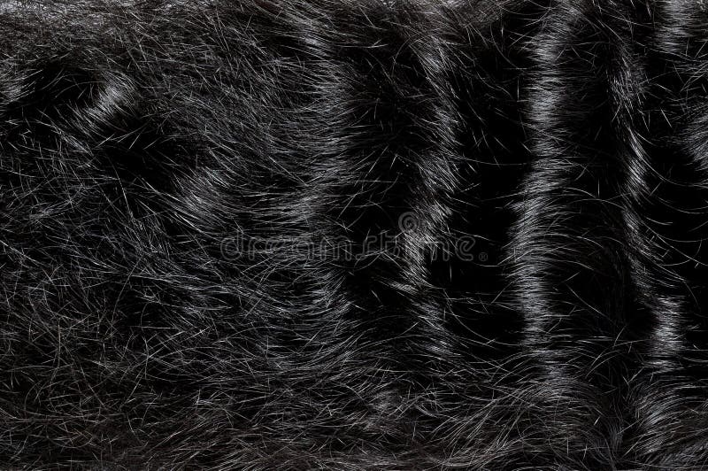 Dark Hair Texture Background Stock Image - Image of hygiene, curl: 19361909