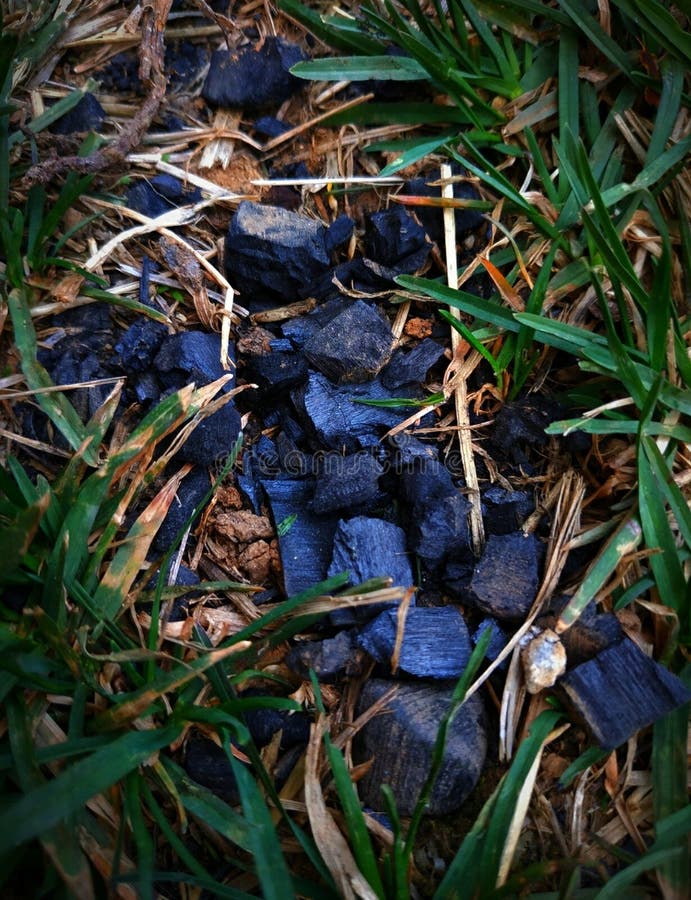 Dark Blue Coal on a Background of Green Grass Stock Photo - Image of ...