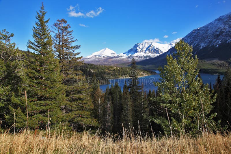 The Cold Lake, Forest and Snow Mountains in Canada Stock Image - Image ...