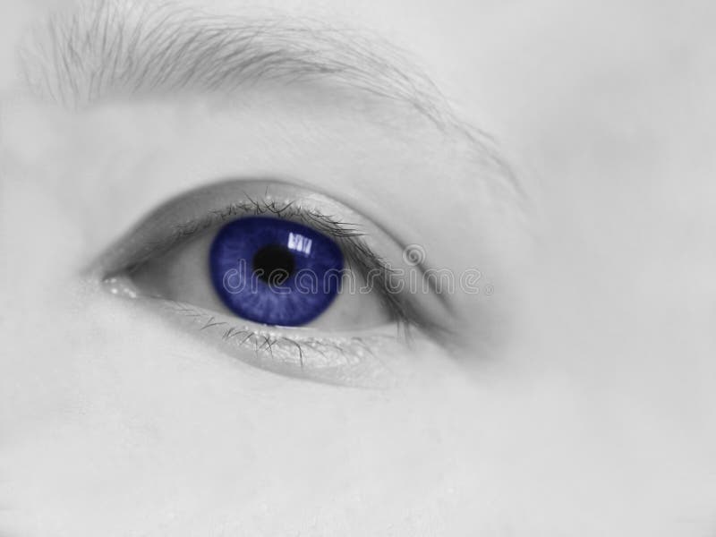 Human eye stock photo. Image of creative, brows, inspiration - 2109618