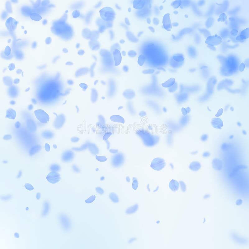 Dark Blue Flower Petals Falling Down. Extra Romant Stock Vector ...